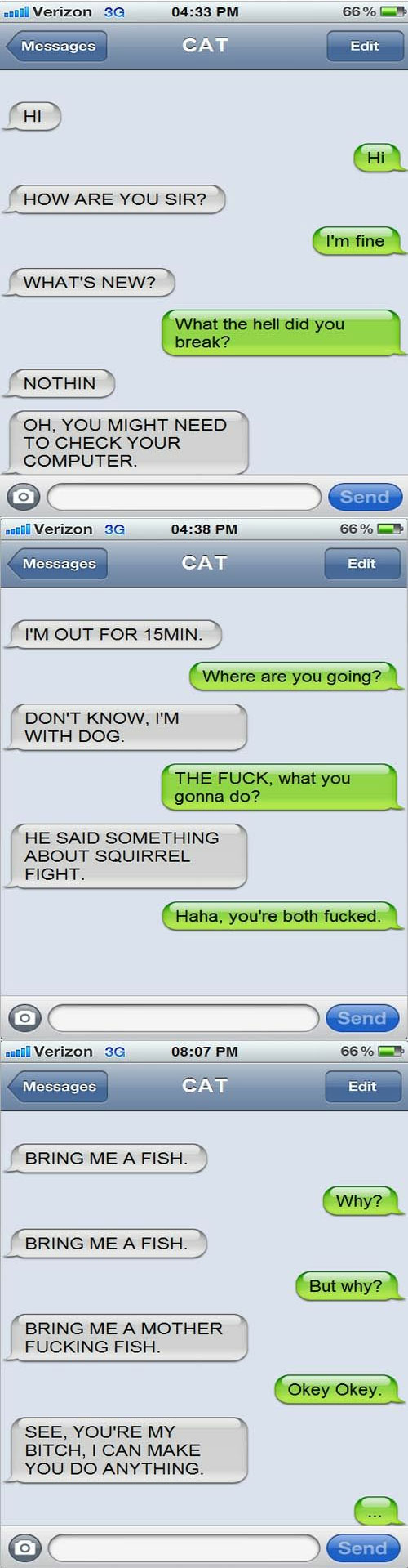 Echange de SMS avec son chat | Blog-Note