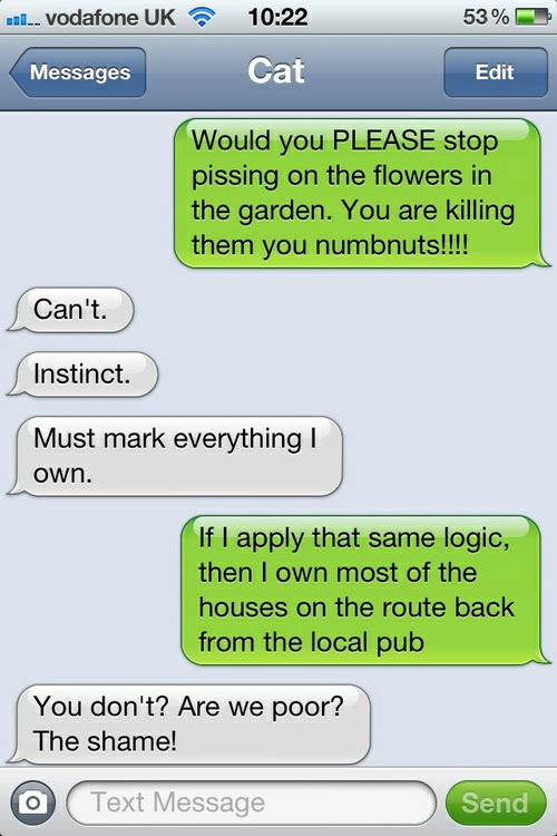 Echange de SMS avec son chat | Blog-Note